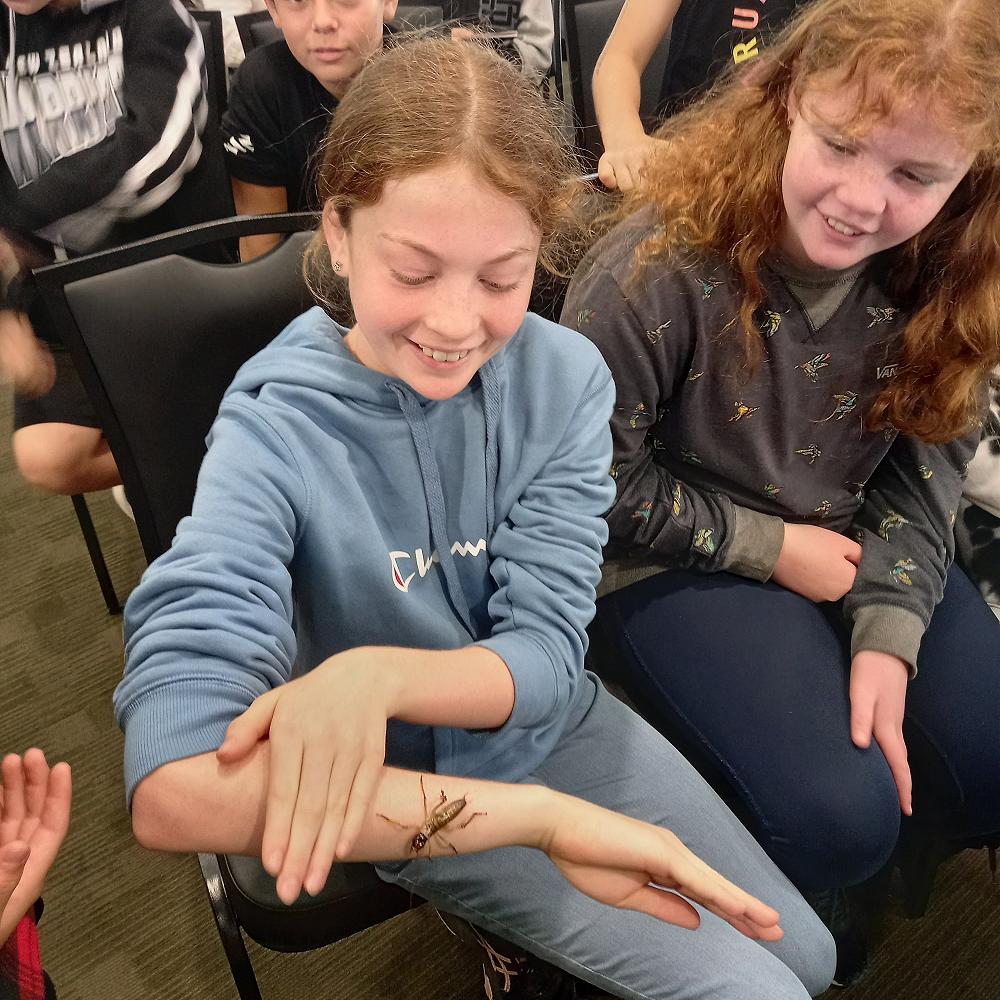 The Bug Man - Ruud Kleinpaste — Newsletter Week 6 Term 4 2022