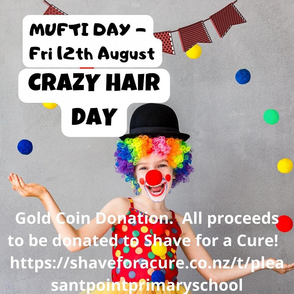 Crazy Hair Day - Mufti Day