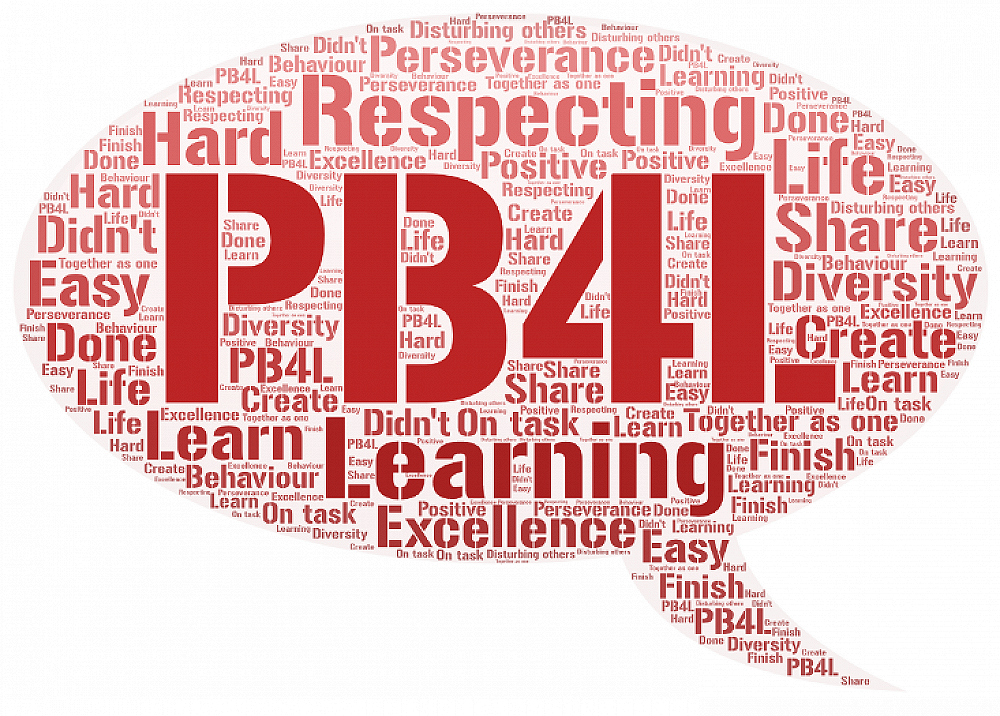 Positive Behaviour for Learning (PB4L)