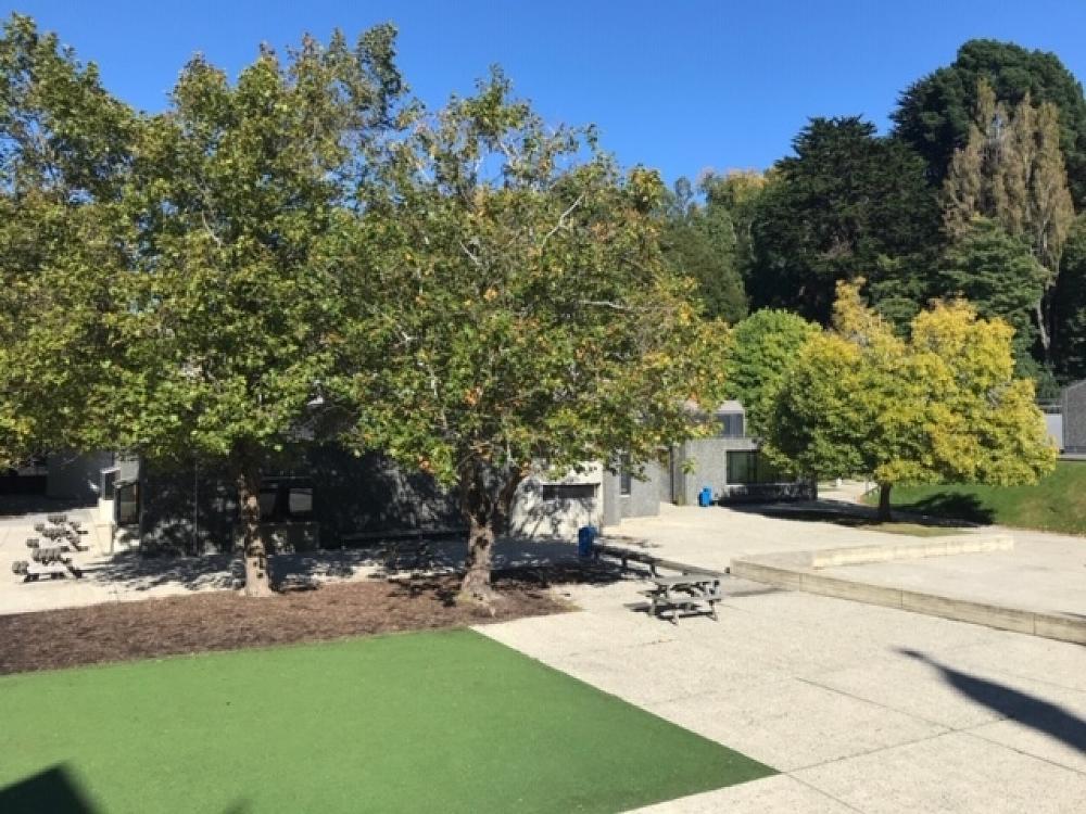 Term 2 begins tomorrow