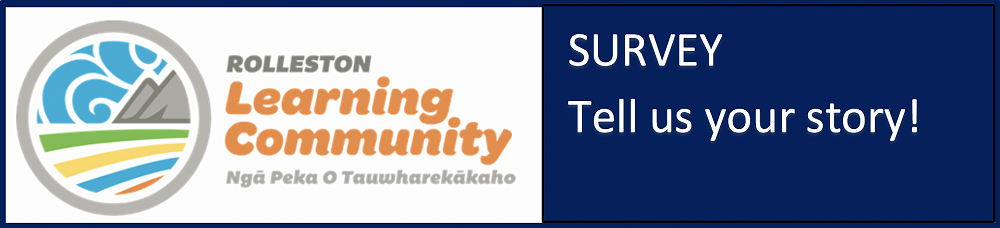 COVID-19/Distance Learning Survey