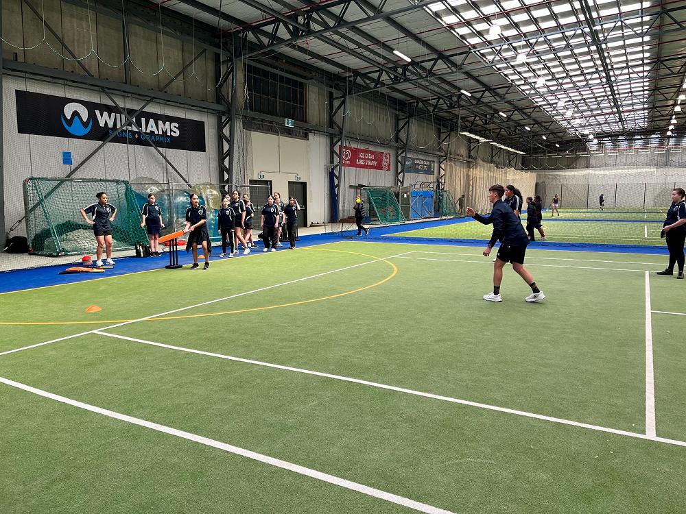 Fern Fever — eNewsletter Term 4 Week 6