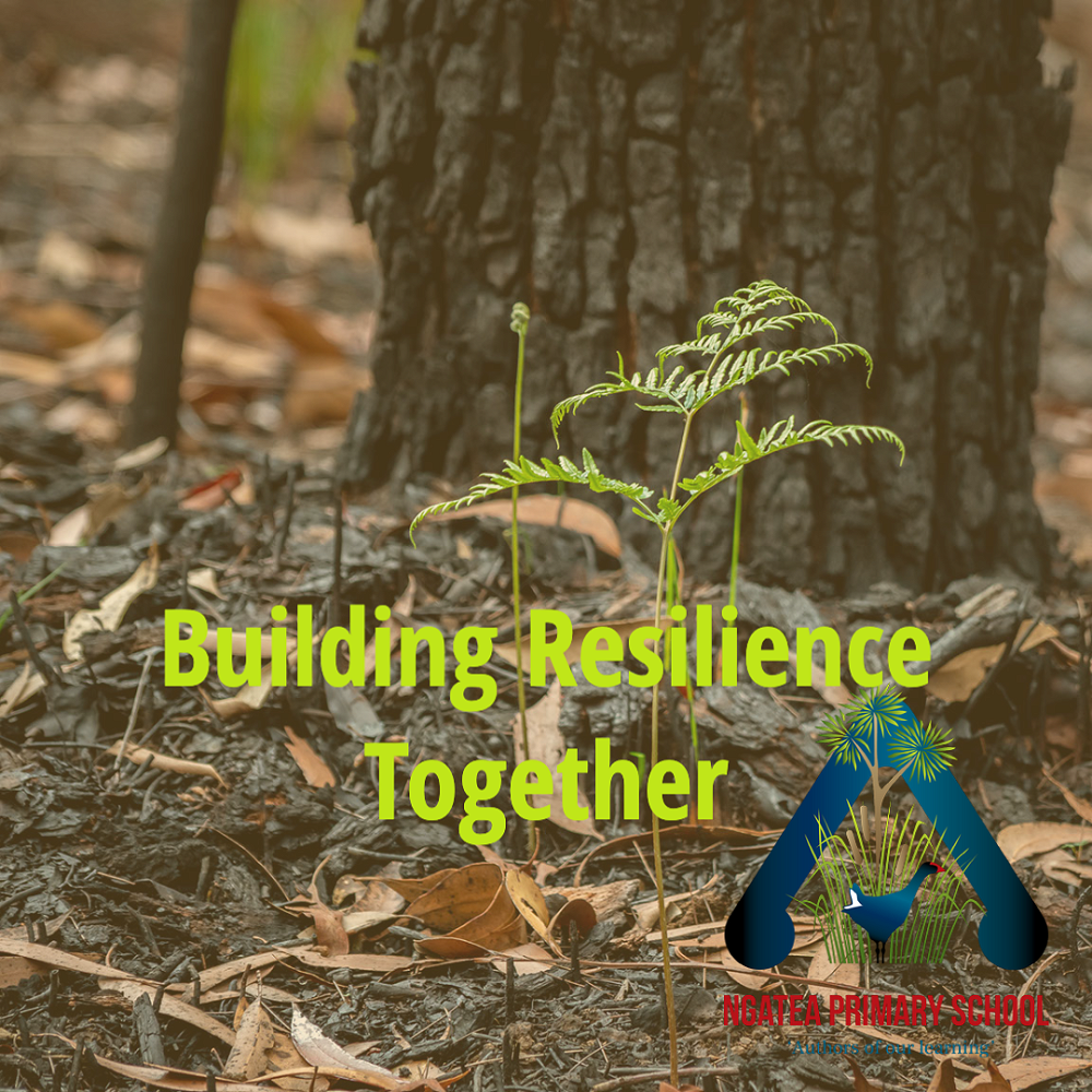BUILDING RESILIENCE TOGETHER — 2022 NEWSLETTER, TERM 4, WEEK 5