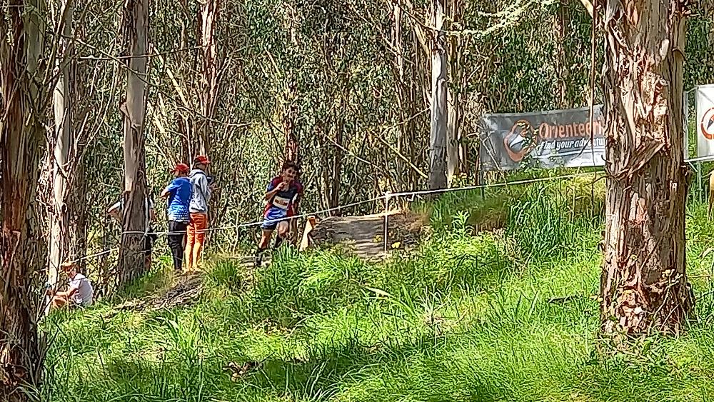 Orienteering national championships