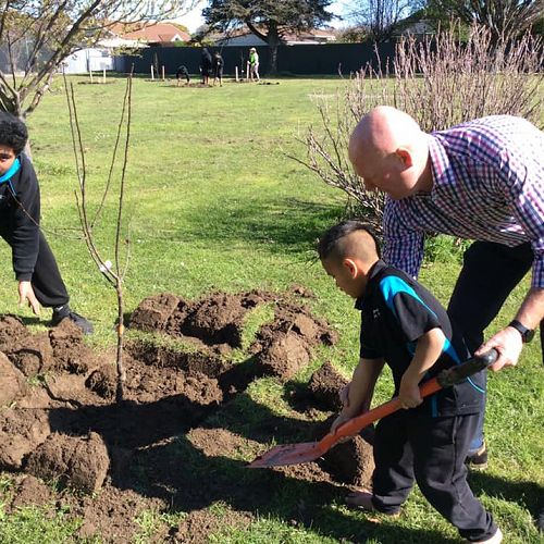 Te Kōmanawa Rowley School