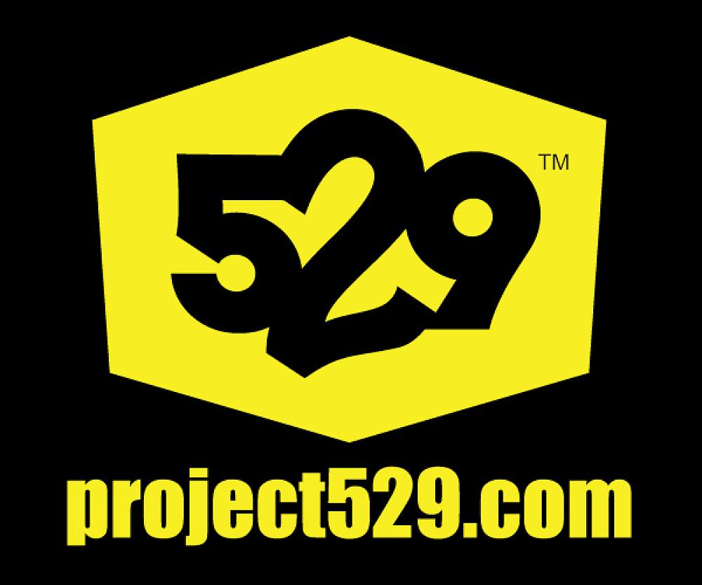 Reducing Bike Theft - 529 Garage