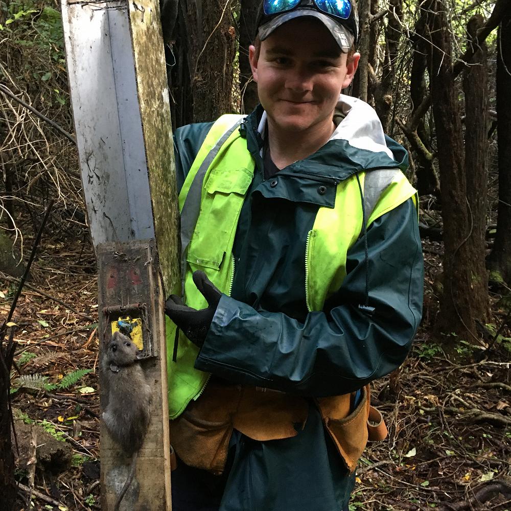 Stewart Island - Liam Knowles