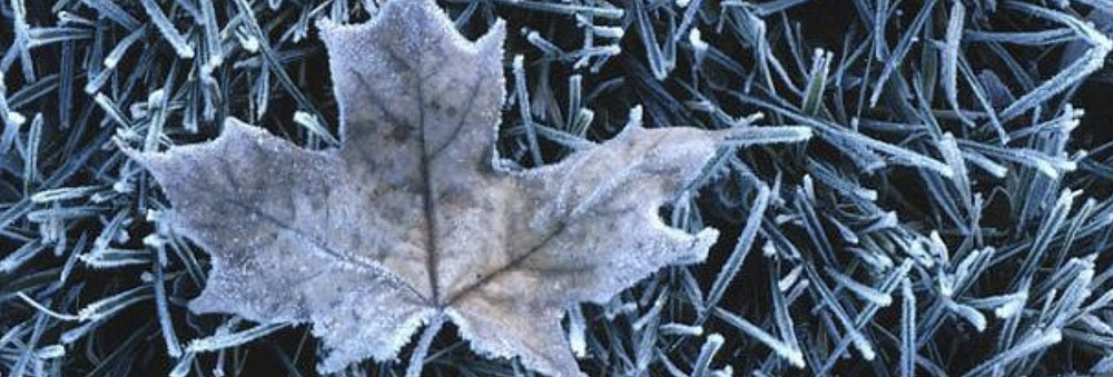 Winter is officially here.