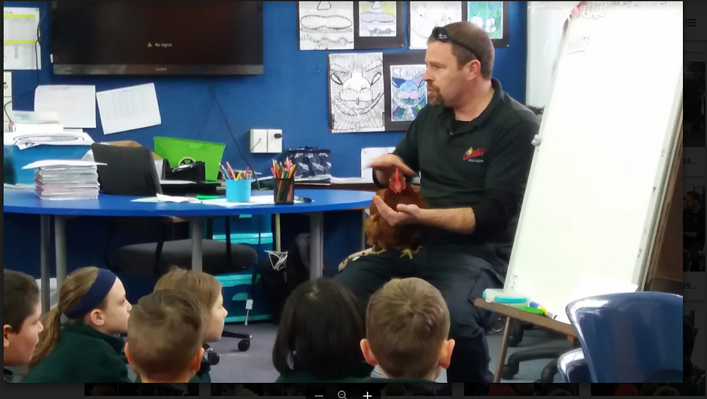 Week 1 Term 3 Review — Year 4 Hub Blog