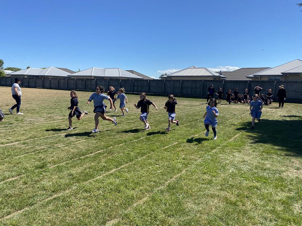 Newsletter - Week 10 Term 3