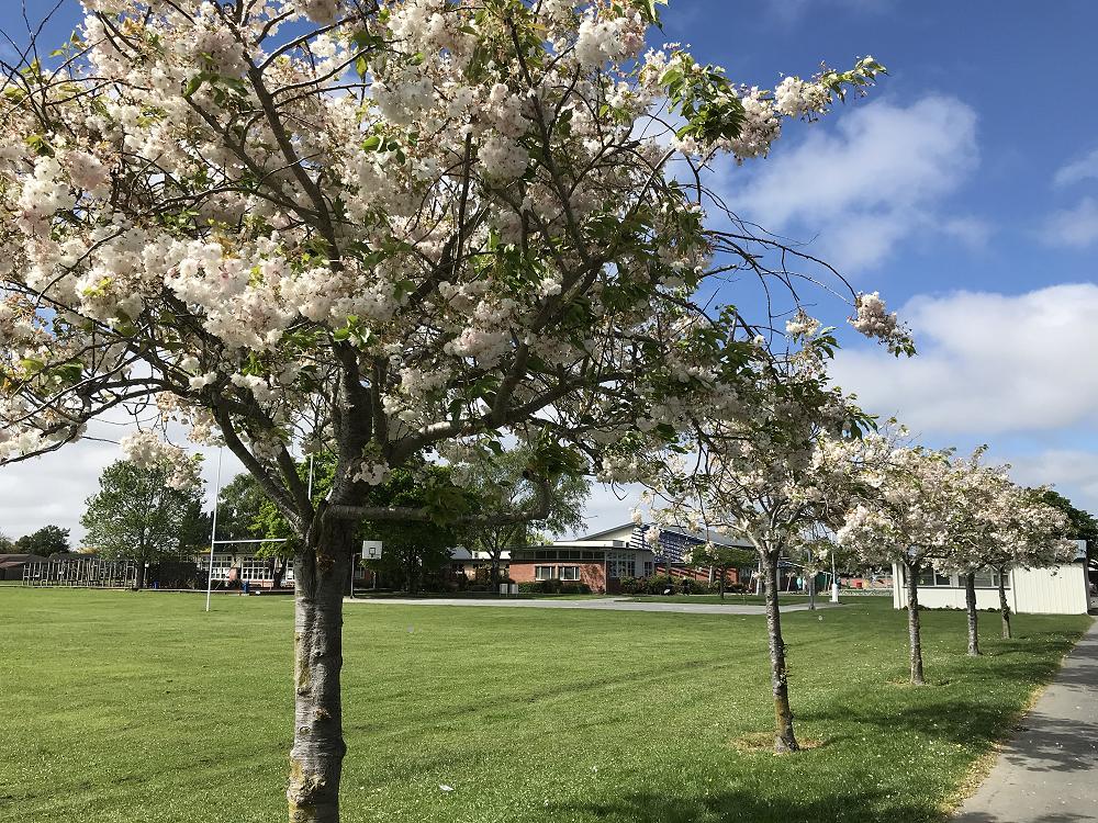 Casebrook Intermediate School - 2 November 2017