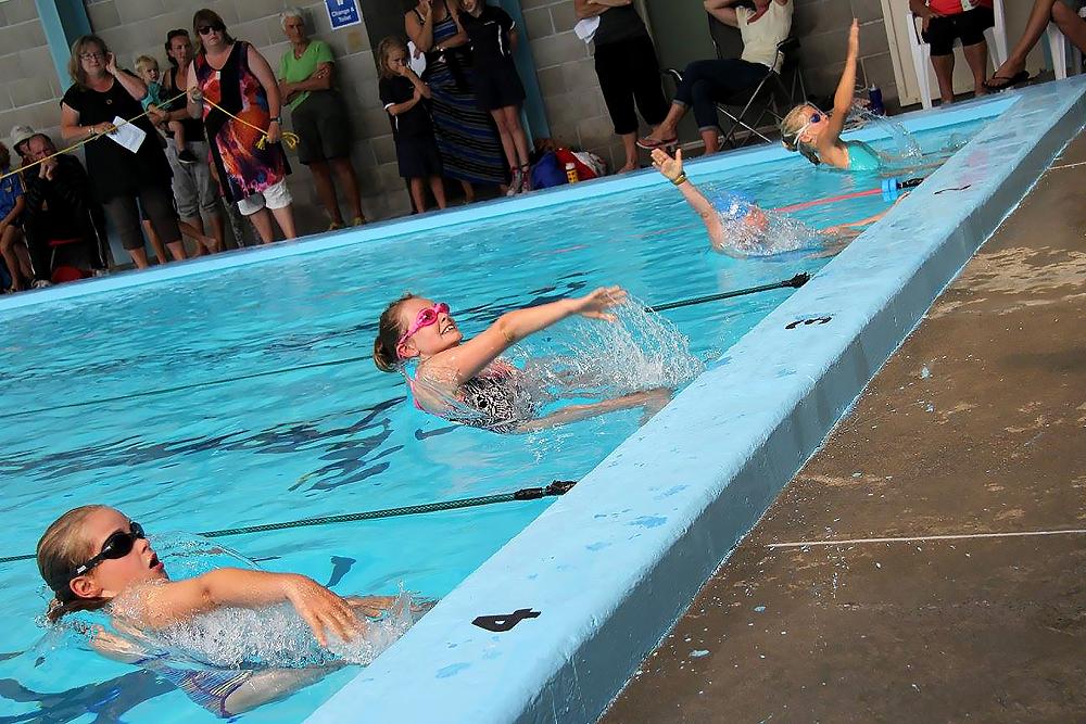 Our next SAVE OUR POOL meeting — Newsletter #4 — Mar '15