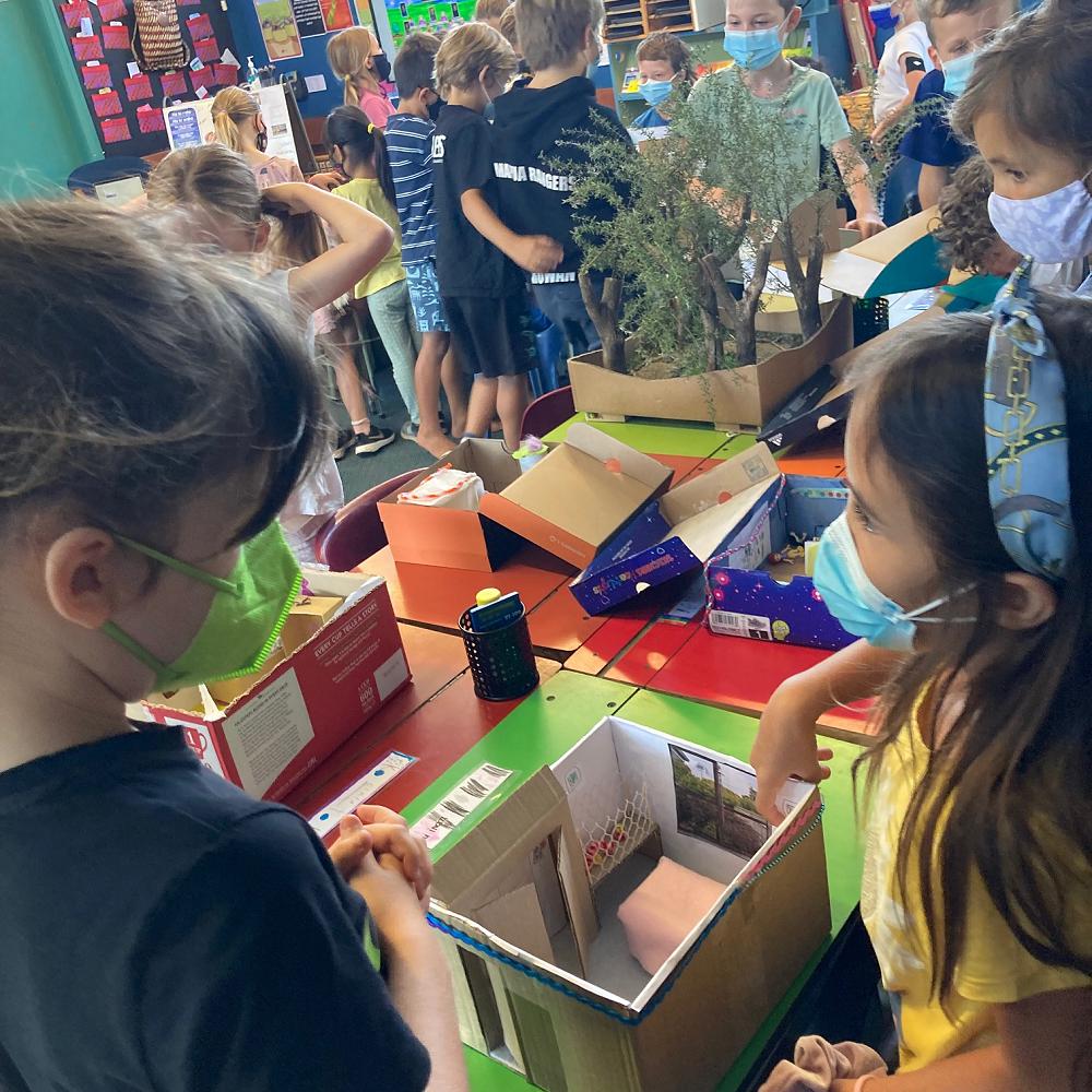 Kahikatea 'Tiny Home' exhibition!