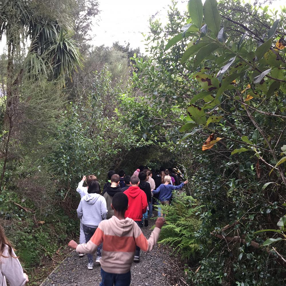 Seniors Explore the Gully