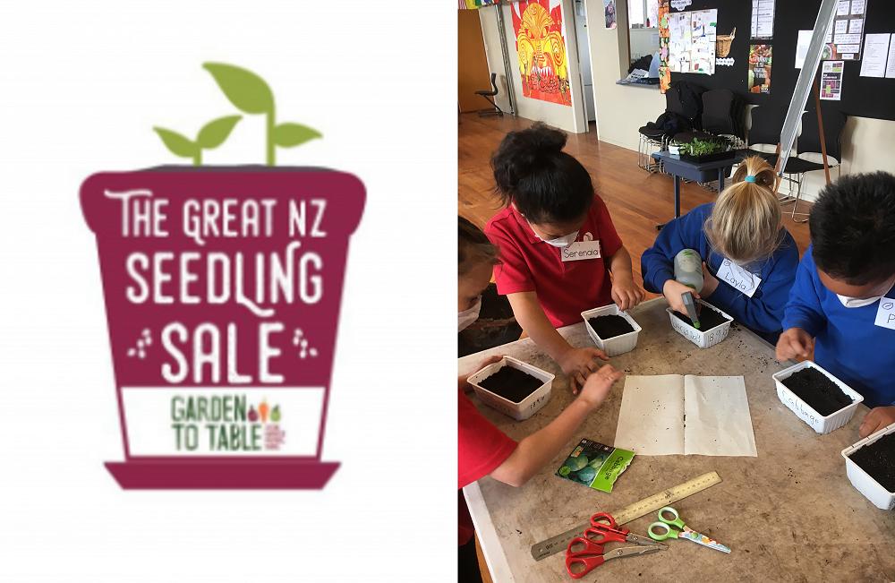 The Great NZ Seedling Sale🌿