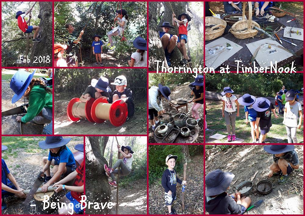 Year 3 Trip to TimberNook