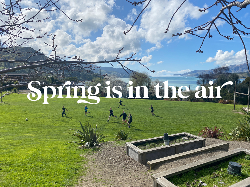 Update | Te 19 Mahuru | September 2022