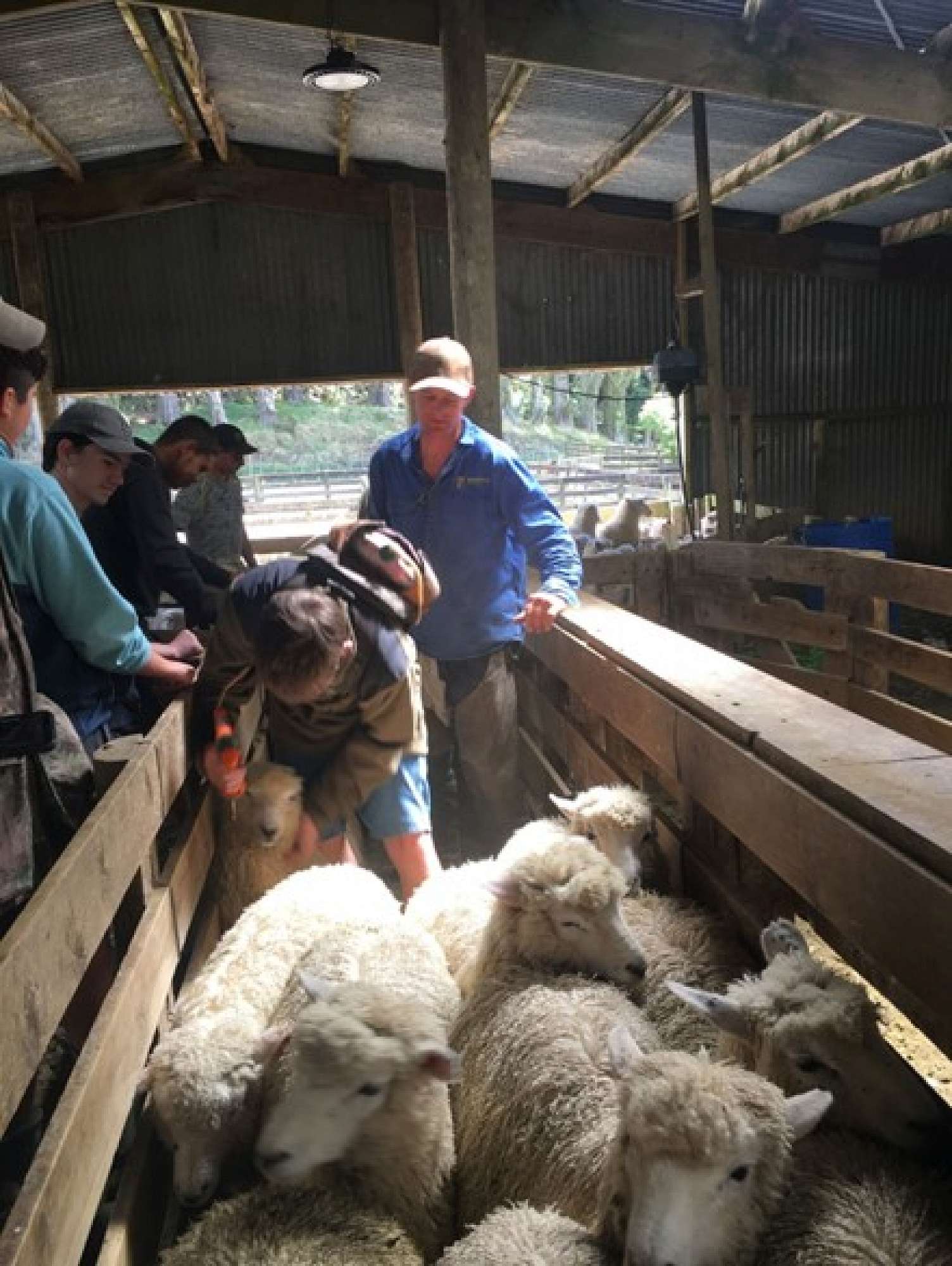 Level 2 Agricultural and Horticultural Science Camp - Gisborne, 6-8 ...