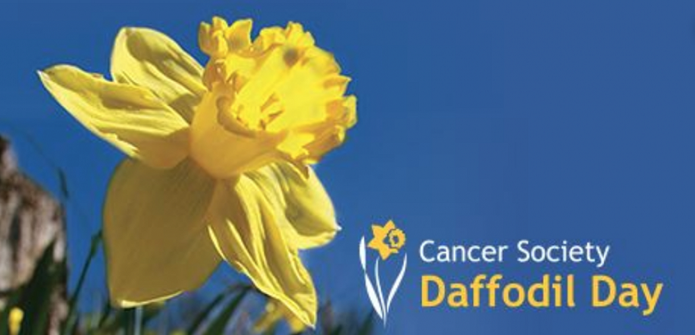 Casual Friday and Yellow ribbons- Daffodil Day fundraisers.