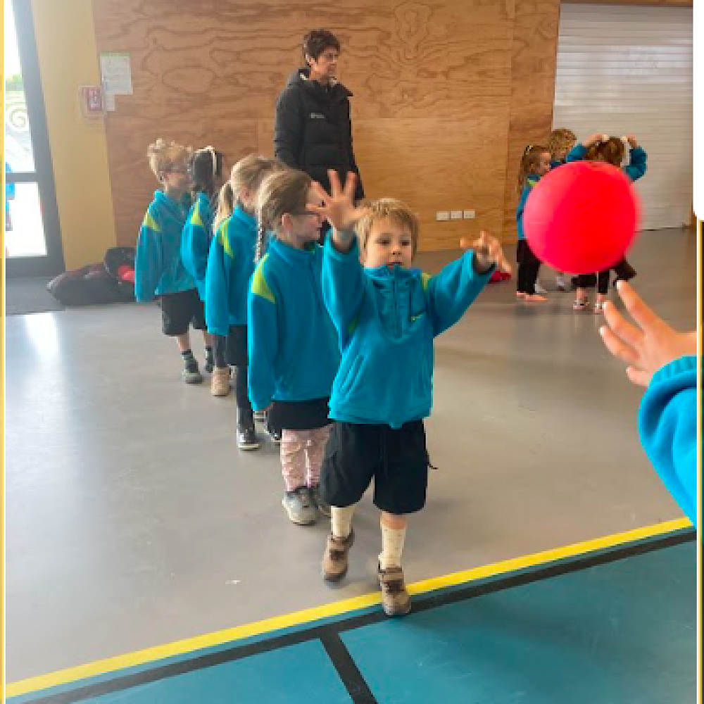 Year 1 & Year 2 Future Ferns Netball Programme