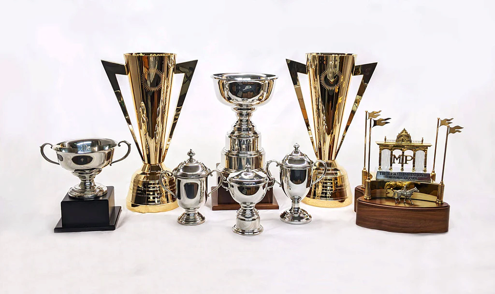 Prize Giving Awards Criteria for Sports, Performing Arts and Agriculture
