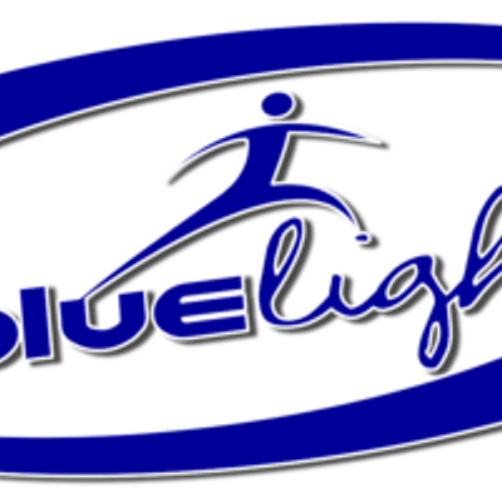 COMBINED CLUBS DISTRICT GRANTS FUND VAN FOR NZ BLUE LIGHT YOUTH ...