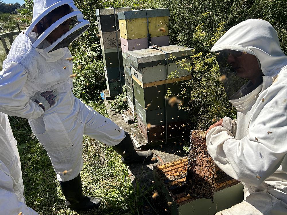 Yr12/13 Outdoor Education programme