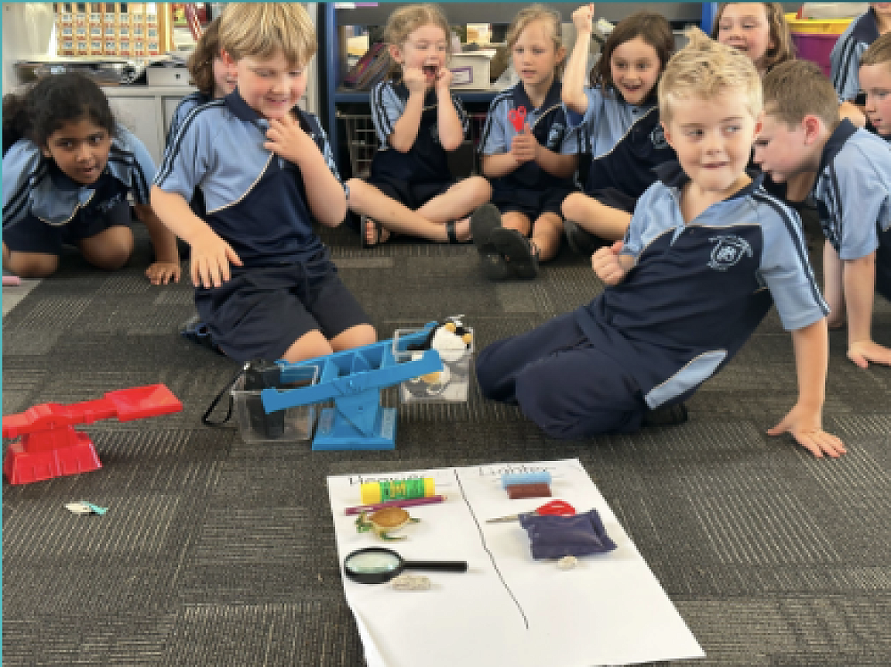 Maths @ Papanui Primary