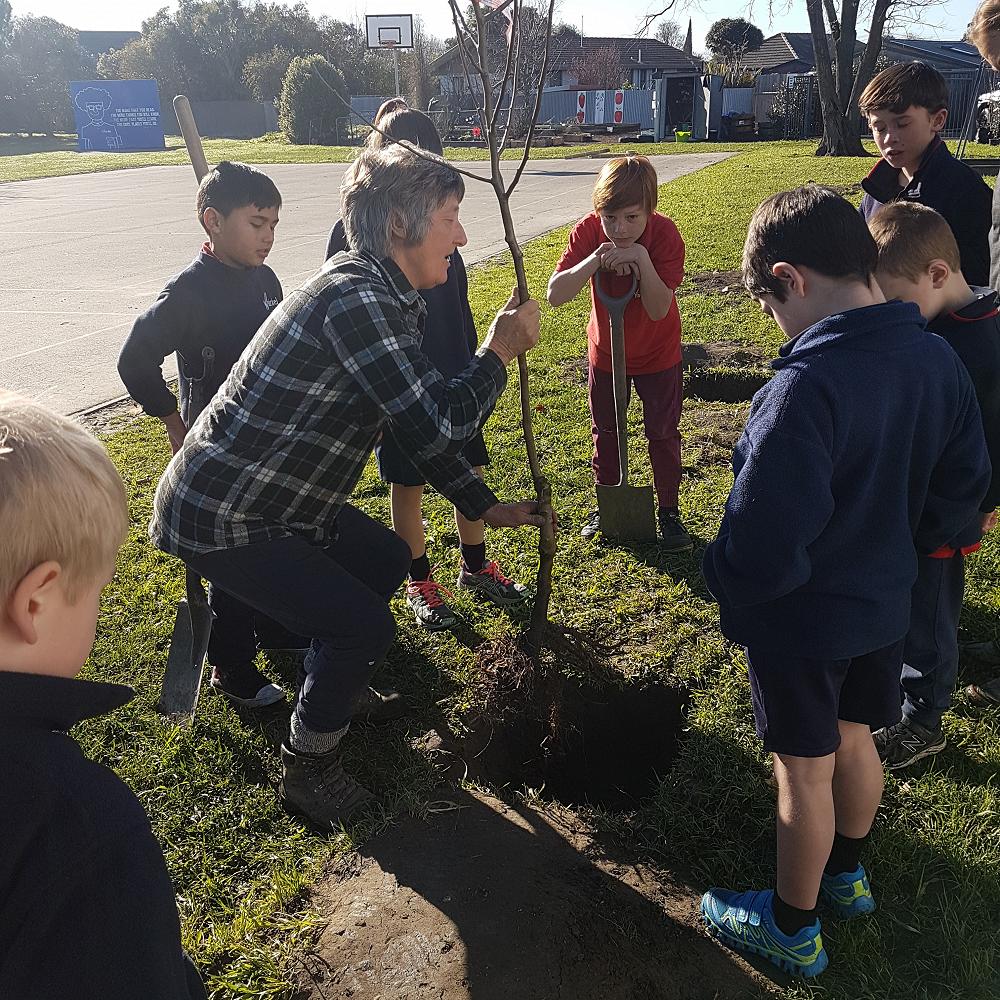 Our Orchard takes shape