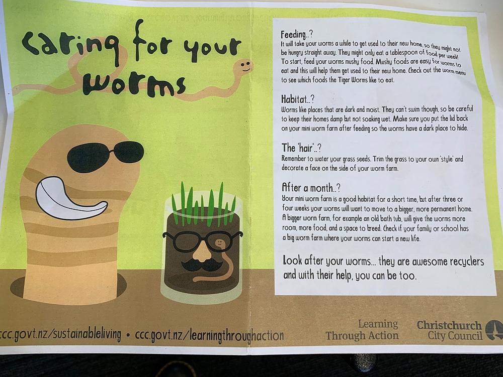 Learning About Worms