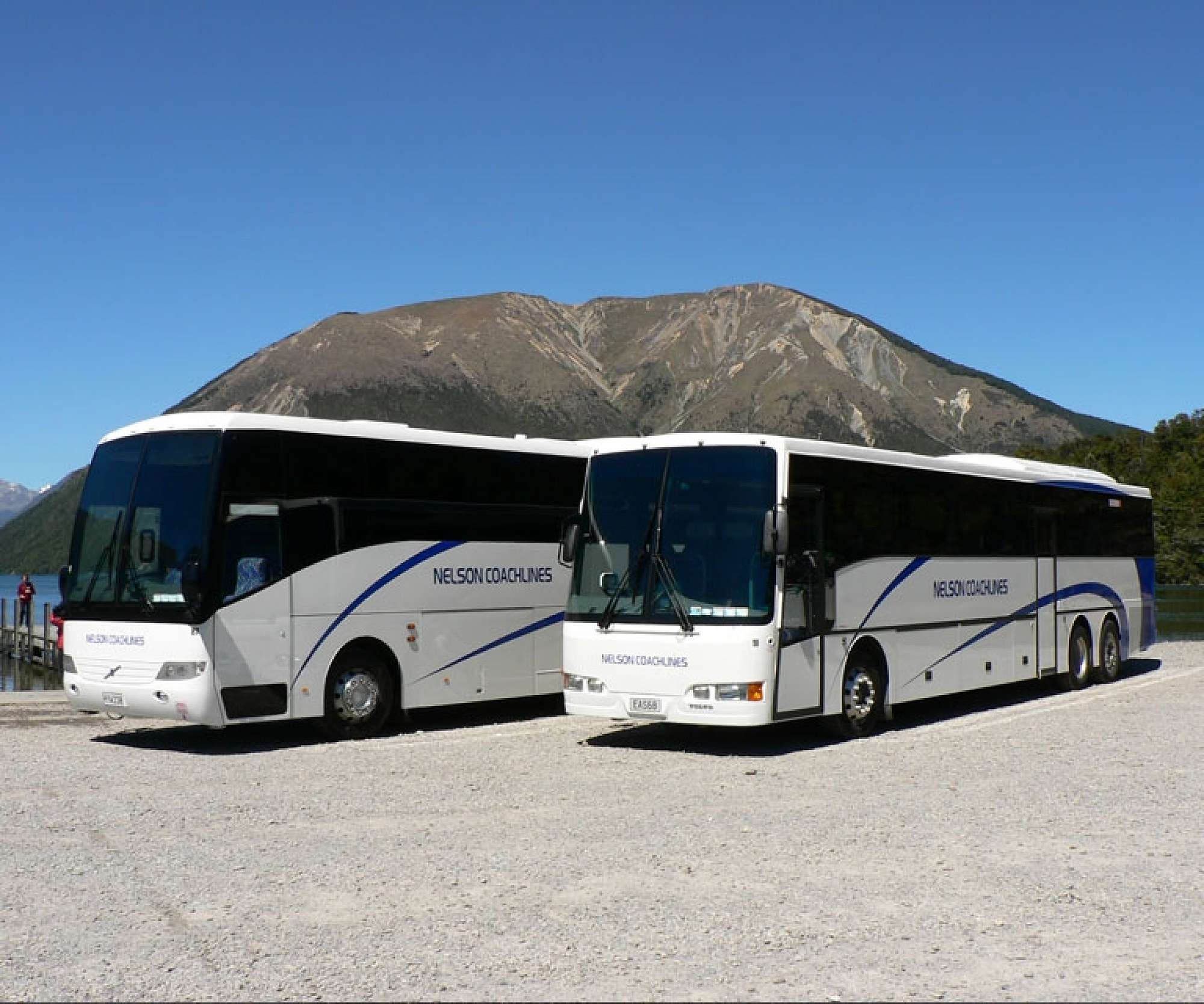 Fare increase for Nelson Coachlines bus users