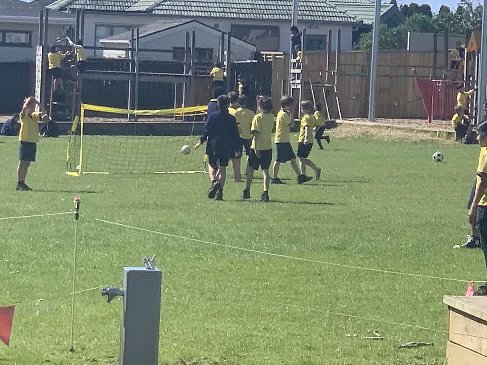 Newsletter: Term 3, Week 7