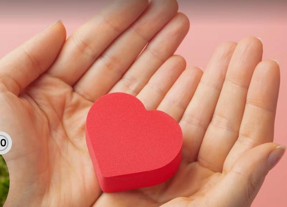 Little Heart Day Fundraiser