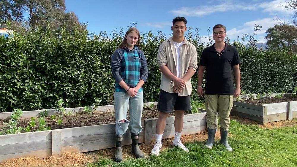 Video: Week 9 Term 3 - Oxford Area School