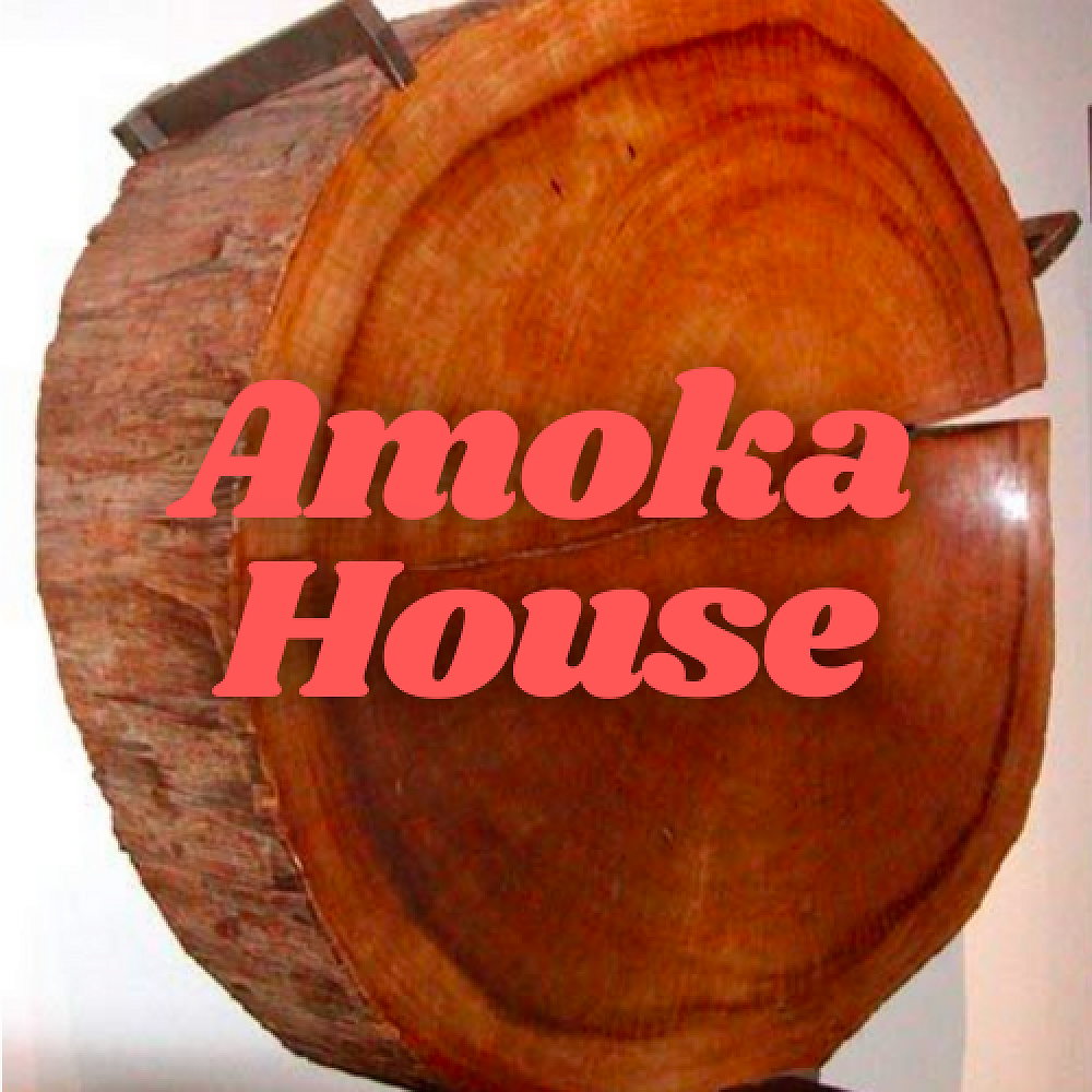 Welcome to Amoka House! — Newsletter, 11 February 2022