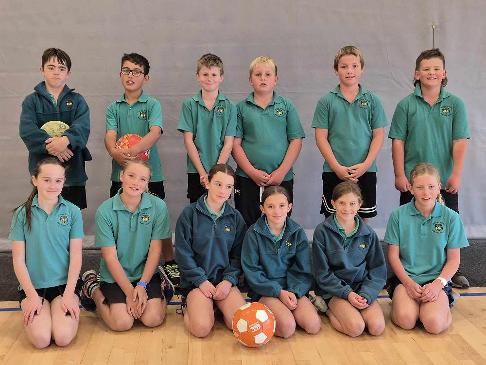 PALS: Physical Activity Leaders