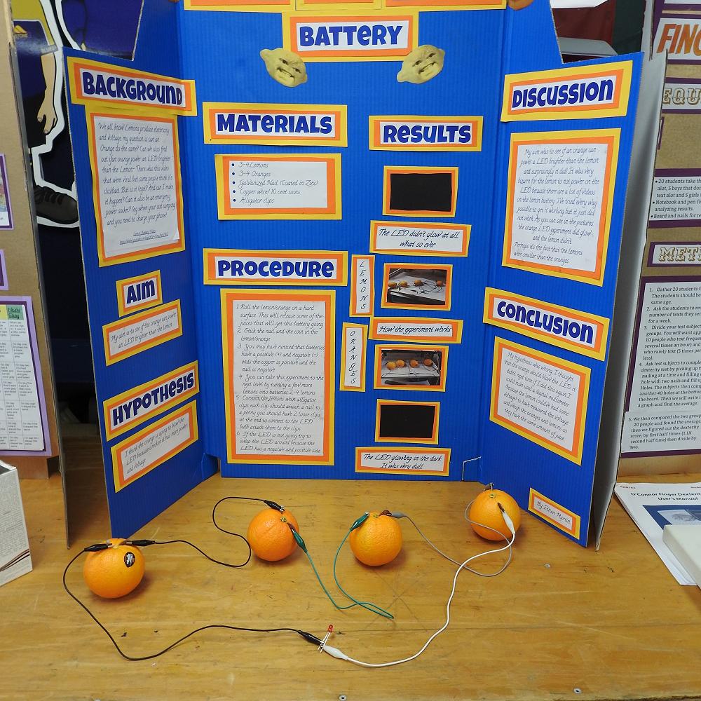 Year 7-8 Science display for you