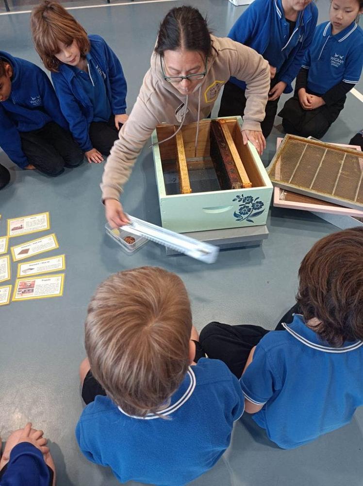 Some news from Toroa ... — Wigram Primary School Newsletter 15 June