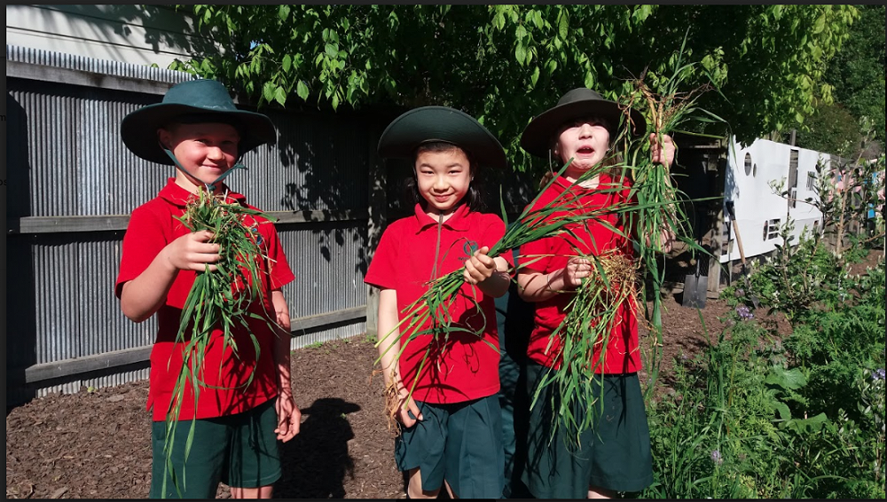 Week 3 Term 4 Review — Year 4 Hub Blog