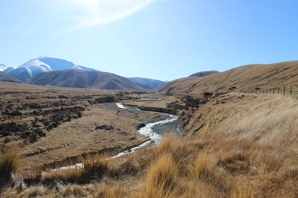 Art Auction Photography Competition Winners