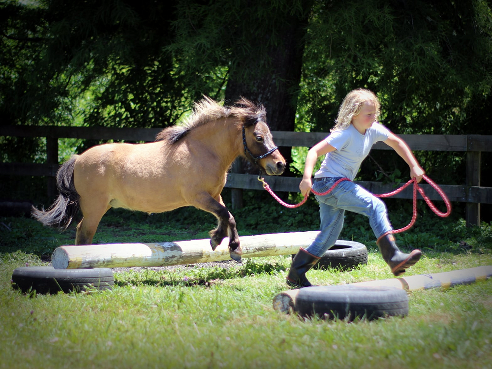 Hope Rising Farm Holiday Programme