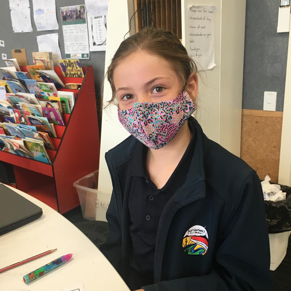 Exciting snapshot and insights into learning at school