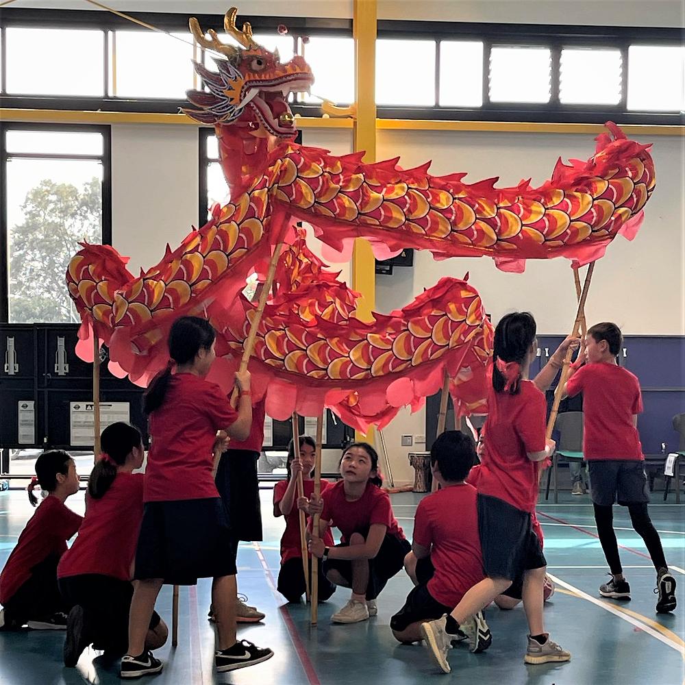 School Newsletter - Term 3 Week 8 2023