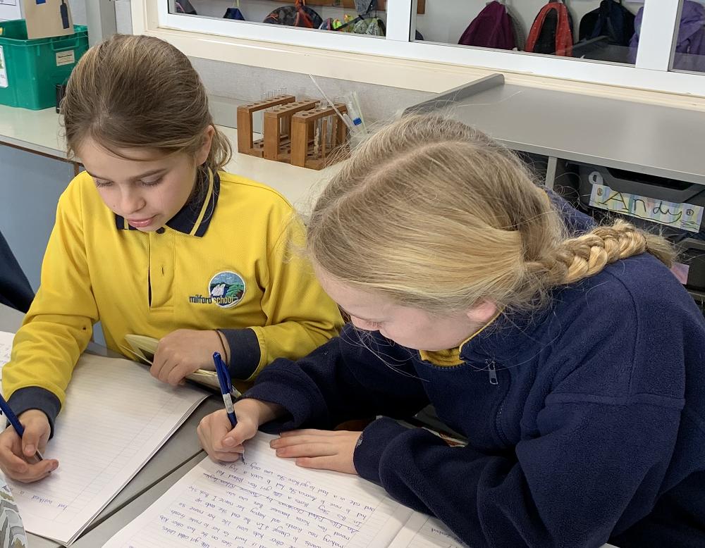 Newsletter: Term 3, Week 7