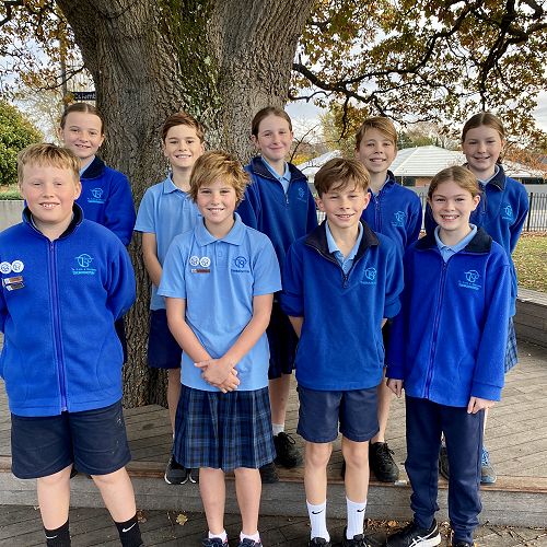 Te Kura o Huriawa Thorrington