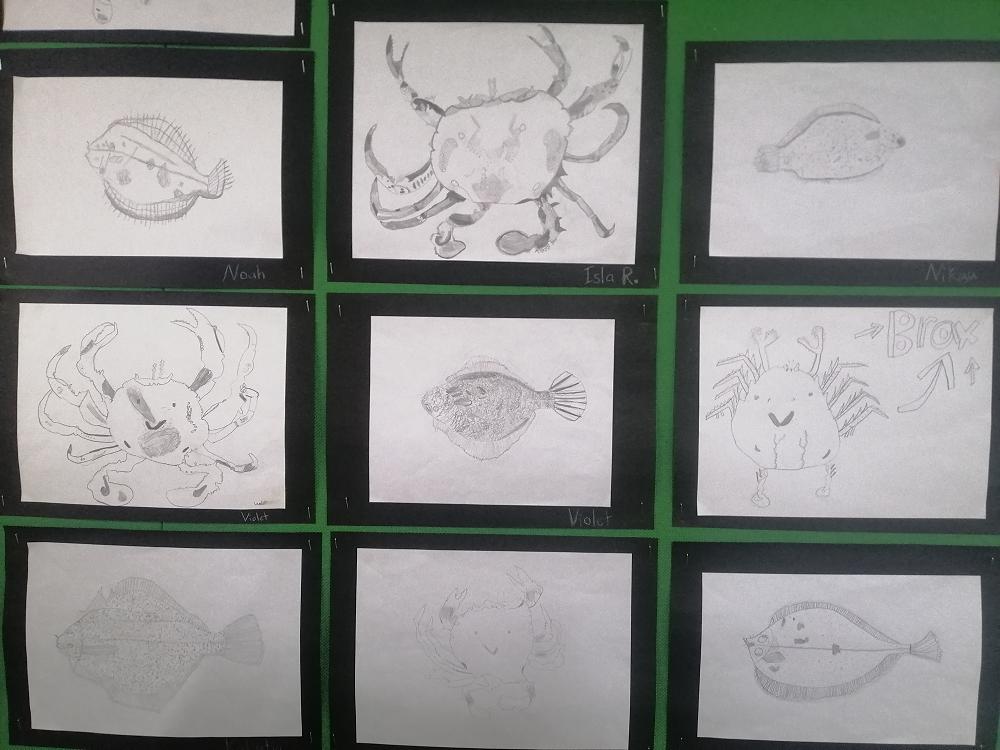 Room 6 Observational Drawings — Newsletter Week 4 Term 2 2022