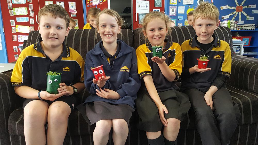 Growing Cress in Room 11 — Bluestone Bulletin Issue 20 November 22 2016