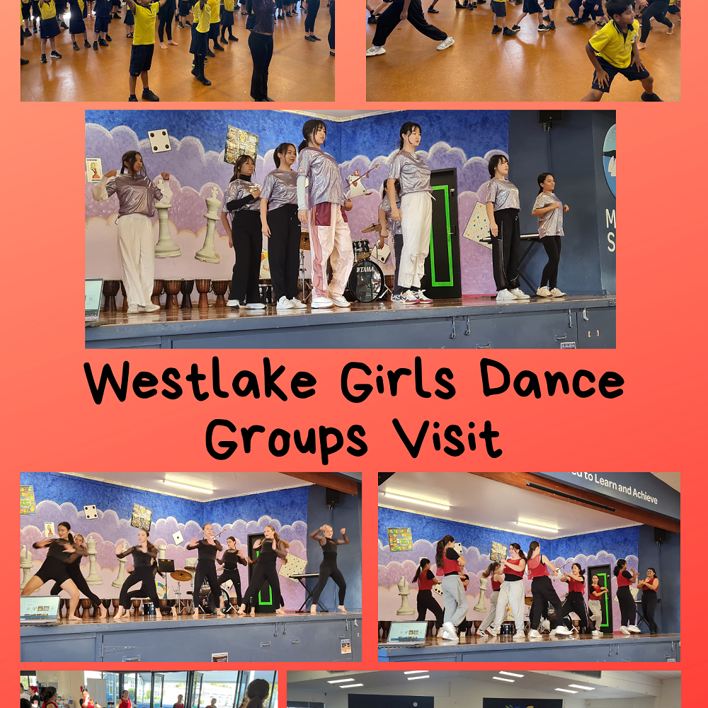 Westlake Girls Dance Group Visit