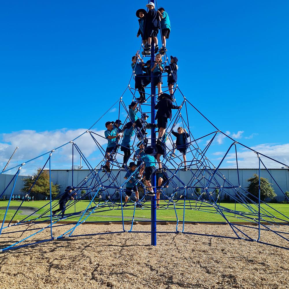 Spider's Web Climbing Frame — HOBSONVILLE HUB - Friday 28 May 2021