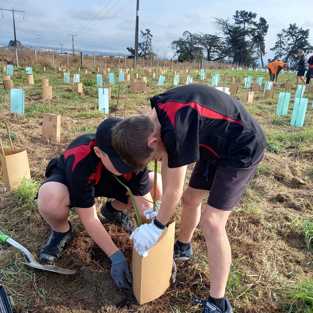 Tangaroa Tree Planting — Newsletter - Thursday 6 August 2020, Term 3 ...